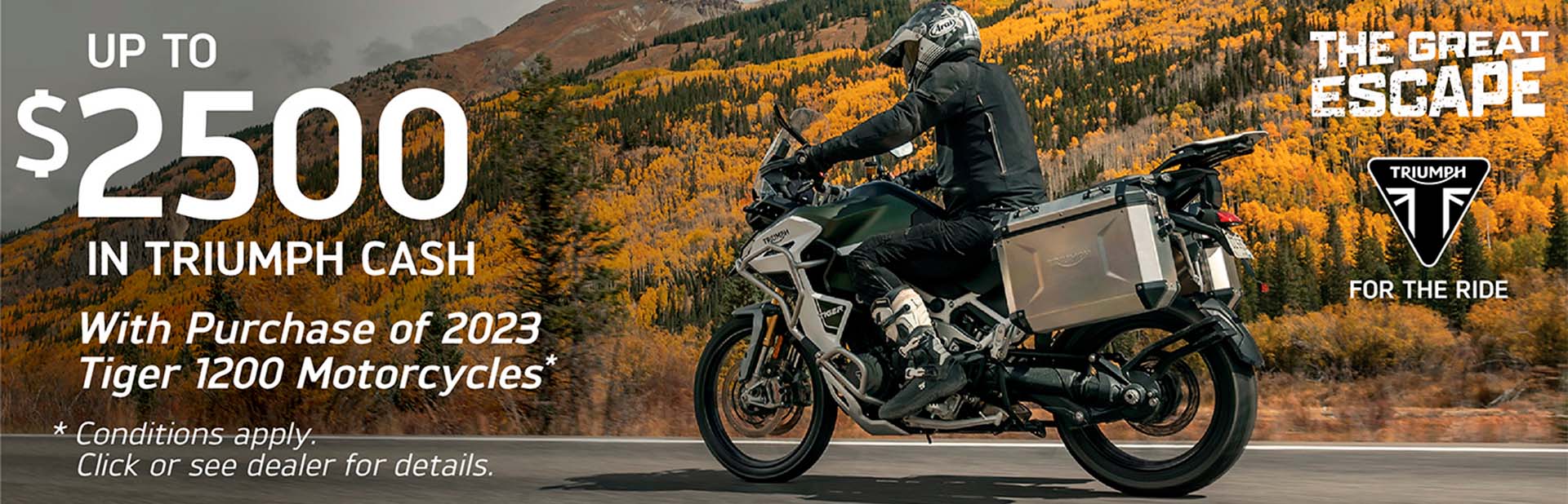 Triumph Motorcycles | Millstone, NJ | Xtreme Machines